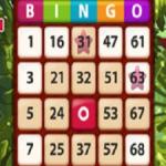 Bingo King - Find the fastest numbers to become the winning player